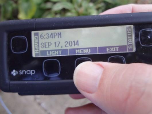 Decision 2014: What’s the Snap really like? | Diabetes Blog - Happy ...
